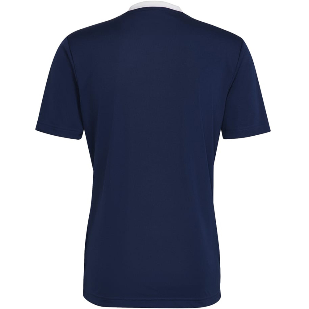 Teamsport Philipp | Adidas Entrada 22 Trikot HE1575 | günstig online kaufen